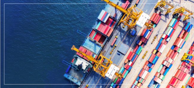 3PL Solutions - Wolfex